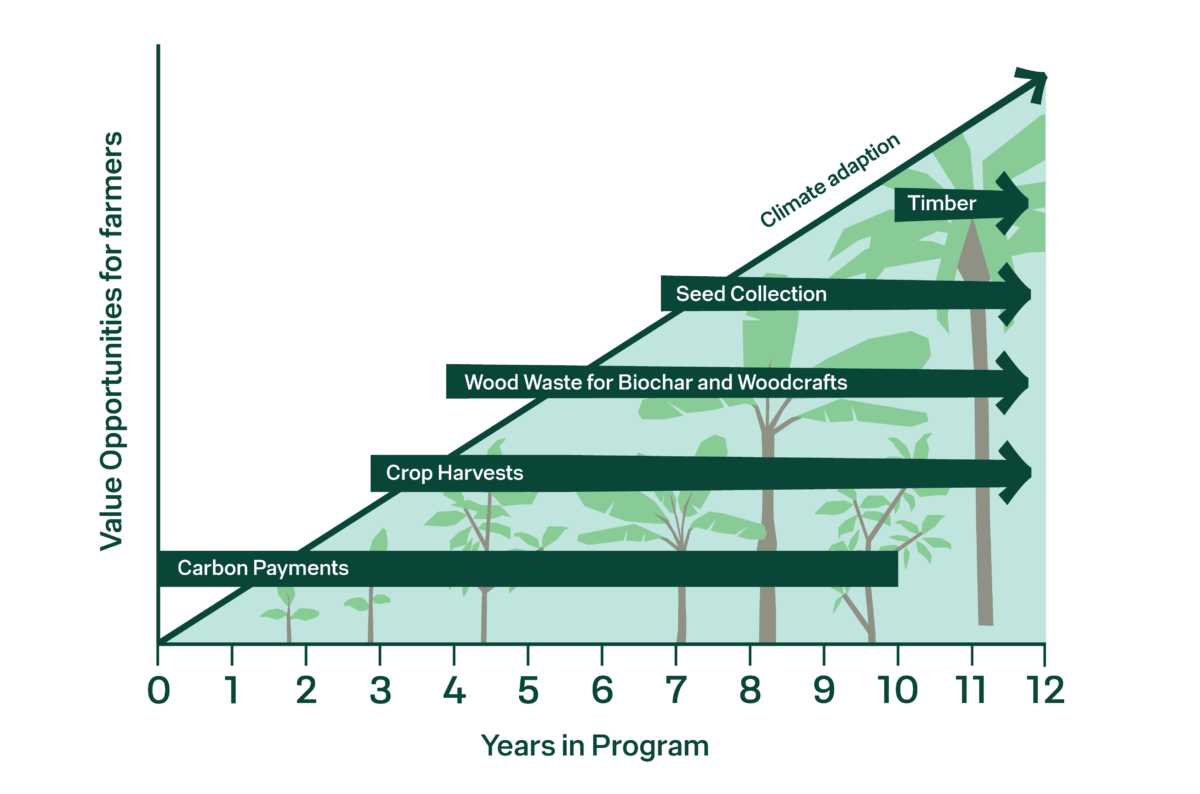 Taking Root - how to create a high-quality carbon offset project