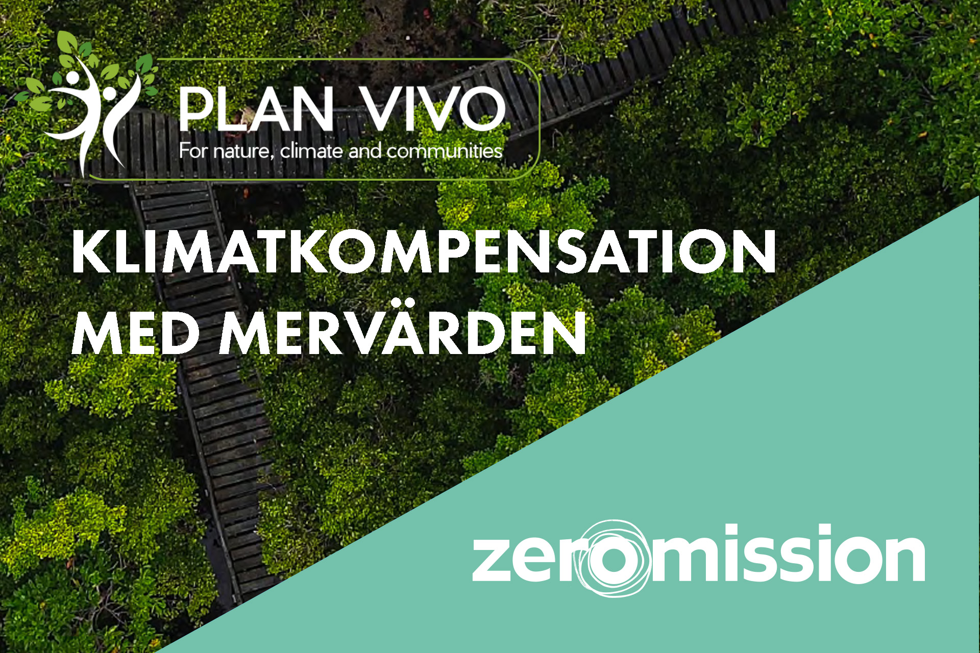 Plan Vivo – klimatprojekt med stora mervärden
