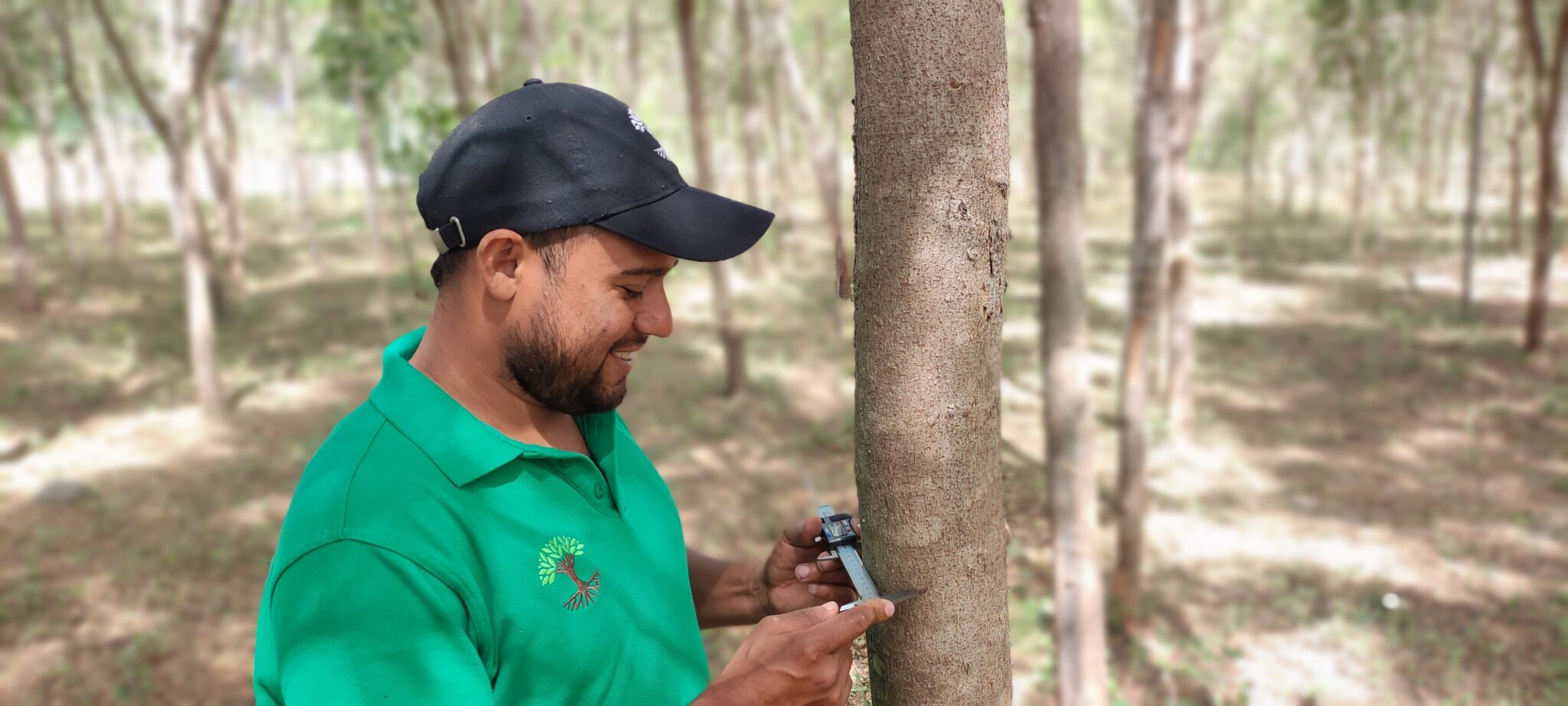 How is carbon measured? How to do projects in Plan Vivo